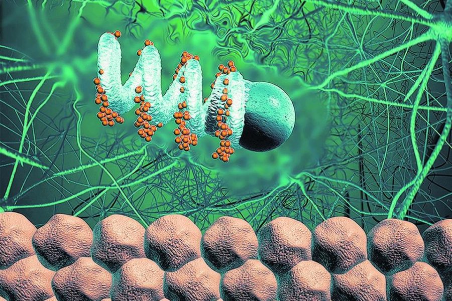 RobCo produziert Roboter mitten in München