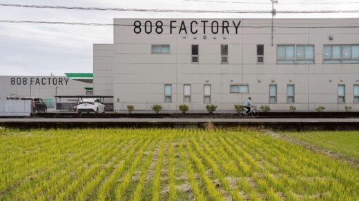 Vertical Farming: In Japan boomt der Anbau von Salat und Kräutern in ...